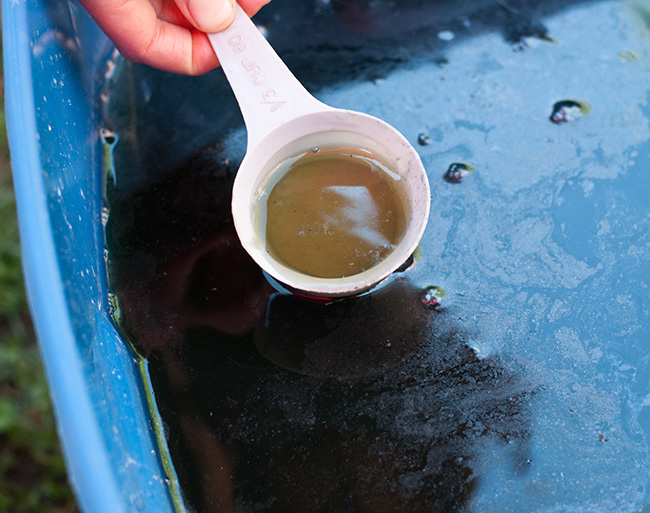 ISSUEdf24 ** Indigo dyeing tutorial : Knitty.com - Deep Fall 2024